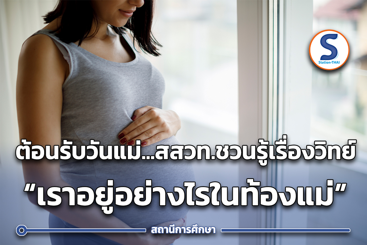 ต้อนรับวันแม่ สสวท. ชวนรอบรู้วิทยาศาสตร์กับ “เราอยู่อย่างไรในท้องแม่” - Station Thai
